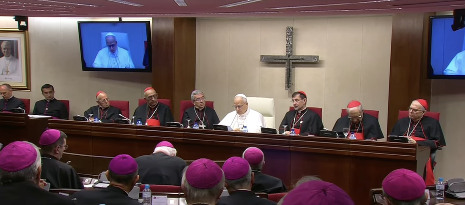 IL PAPA AI VESCOVI SPAGNOLI: IMPEGNO PIÙ DECISO DALLA CHIESA NEL ...